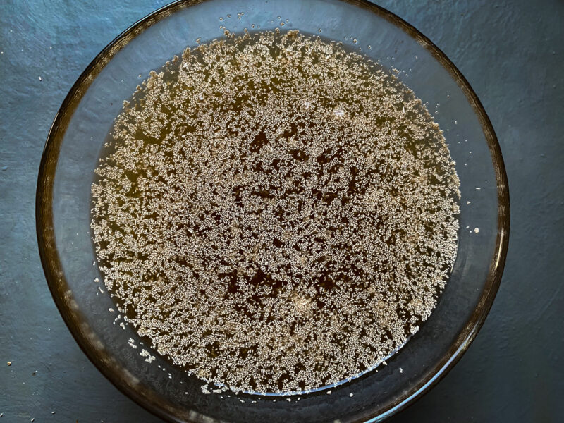 Traditional Healthier Greek Easter Lazarus Bread (Lazarakia Bread ...